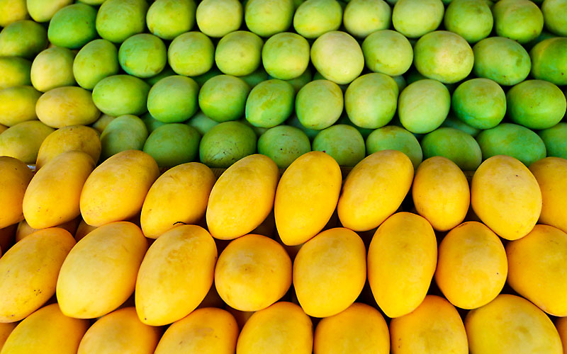 Guimaras offers 9-day ‘all-you-can-eat’ mangoes | The Filipino Times