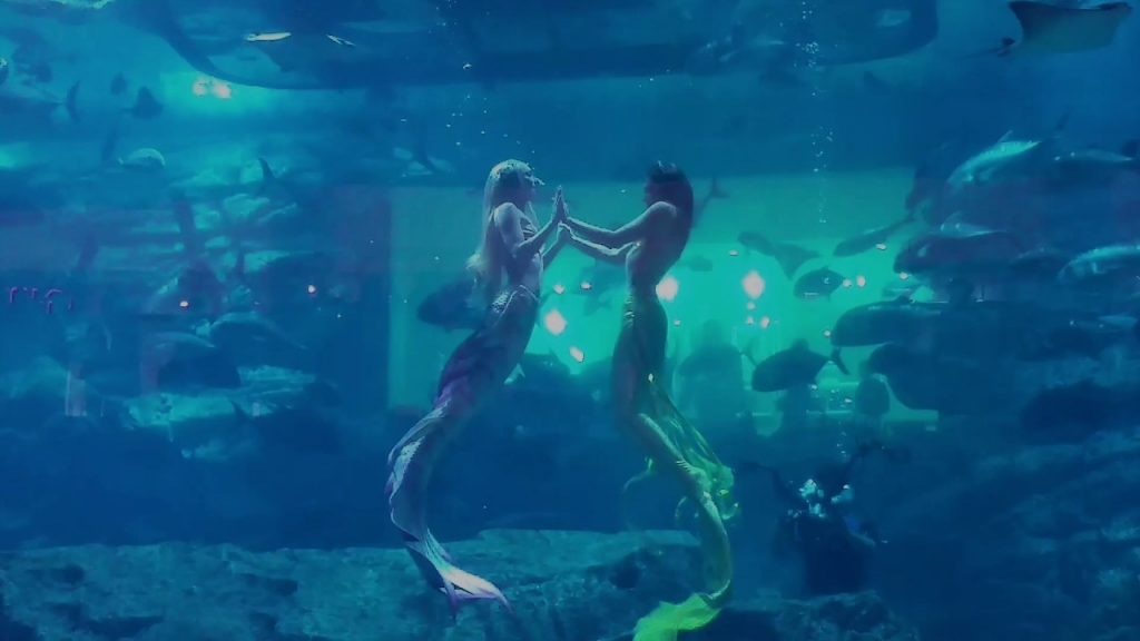 ‘Mermaids’ caught swimming in Dubai | The Filipino Times