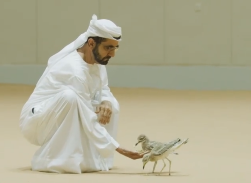 WATCH: This adorable video of UAE Vice President shows his love for ...