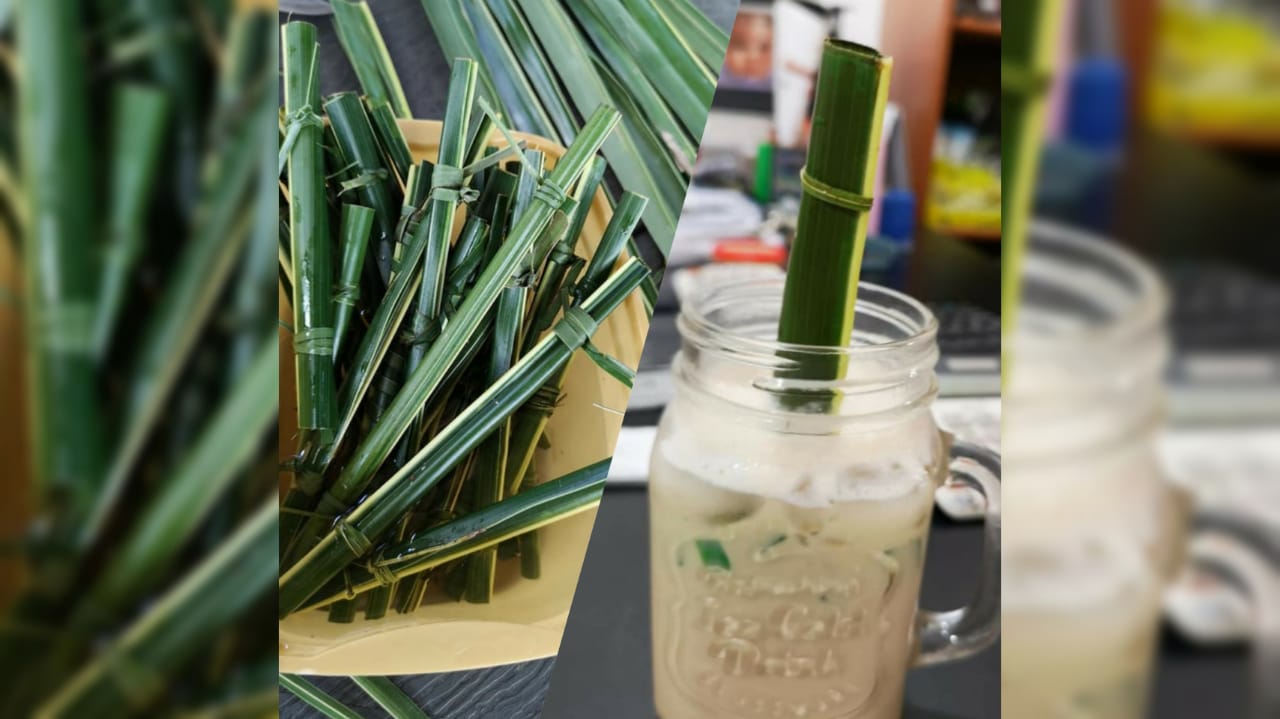 LOOK: Biodegradable straws from café in Siargao goes viral | The ...