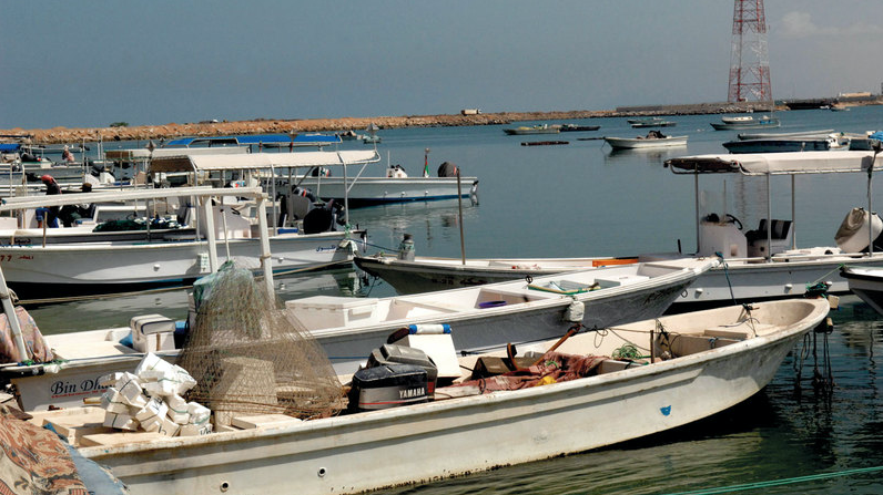 RAK fish prices soar with high temperatures - The Filipino Times