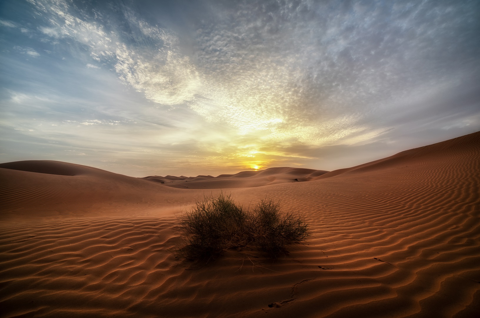 UAE Through the Lens of: Litrato Group AE - The Filipino Times