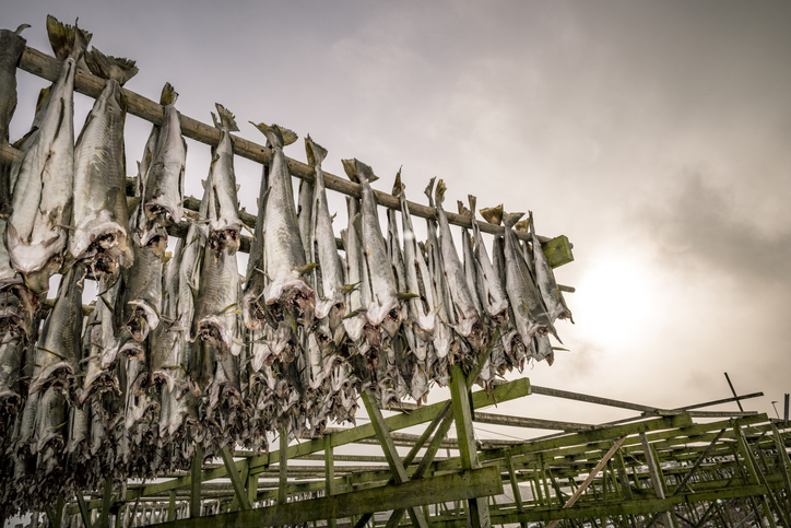 Around 150kg of spoiled fish seized at Bahrain’s central market - The ...