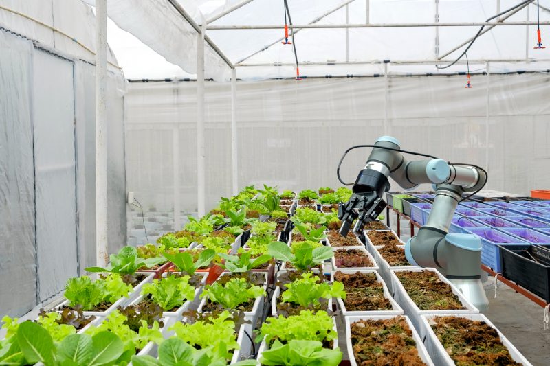 Bahrain to focus on digital techniques to improve agriculture - The ...