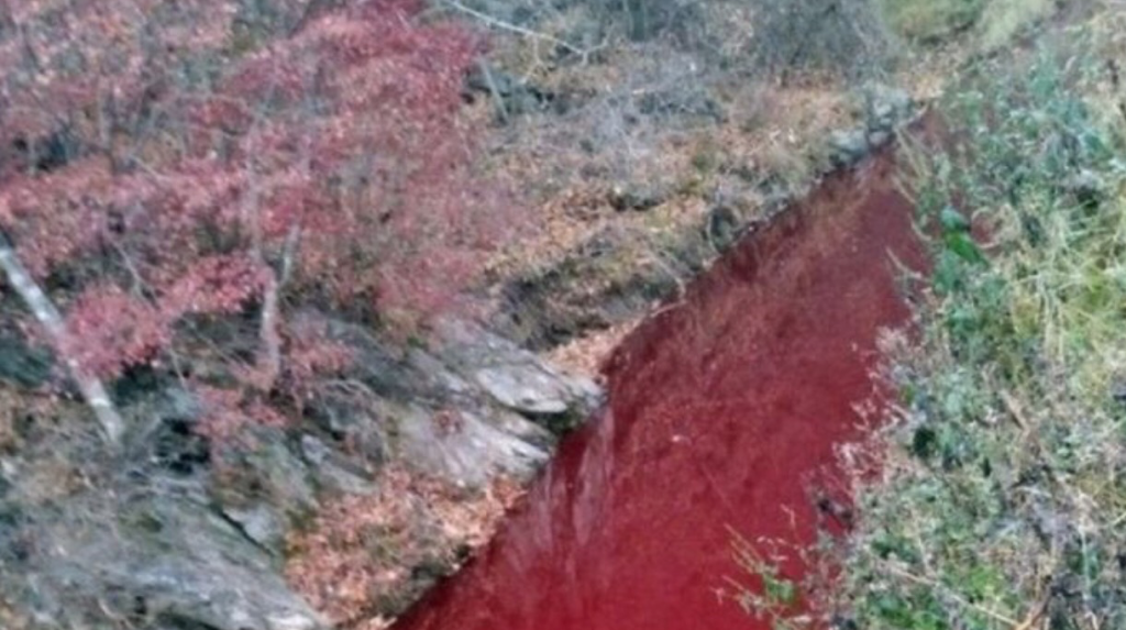 LOOK: River turns red in South Korea | The Filipino Times