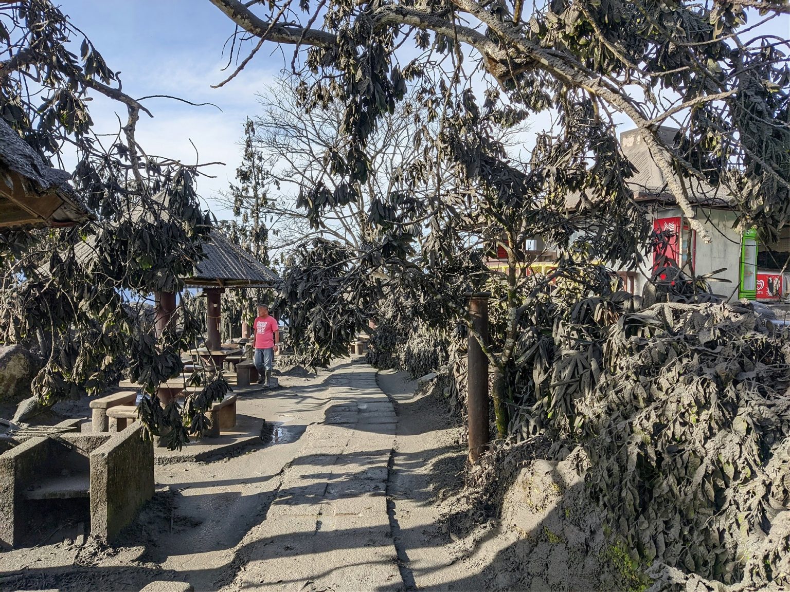 LOOK: Destructive Taal Volcano ashfall turns Tagaytay into gray - The ...