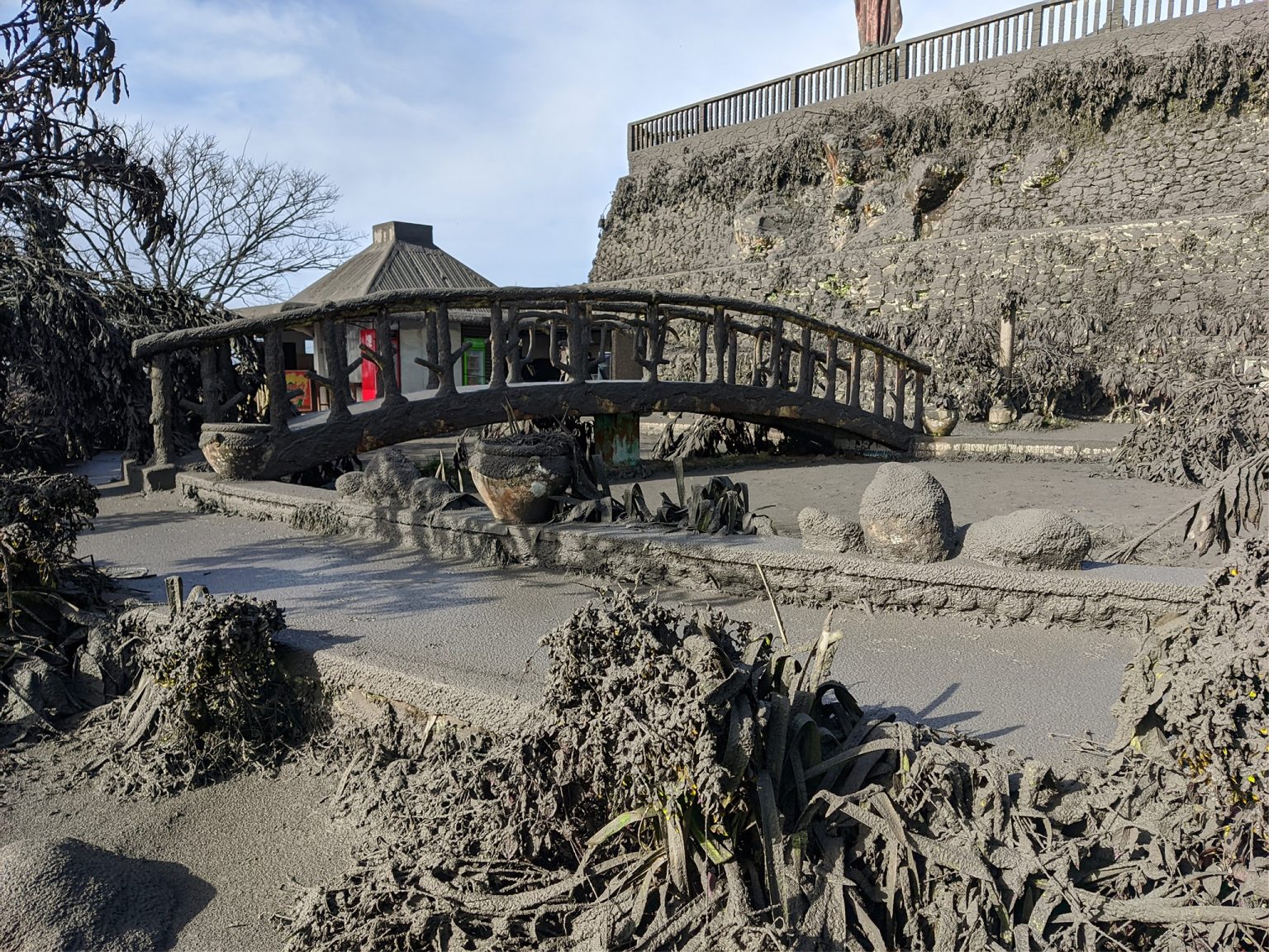 LOOK: Destructive Taal Volcano ashfall turns Tagaytay into gray - The ...