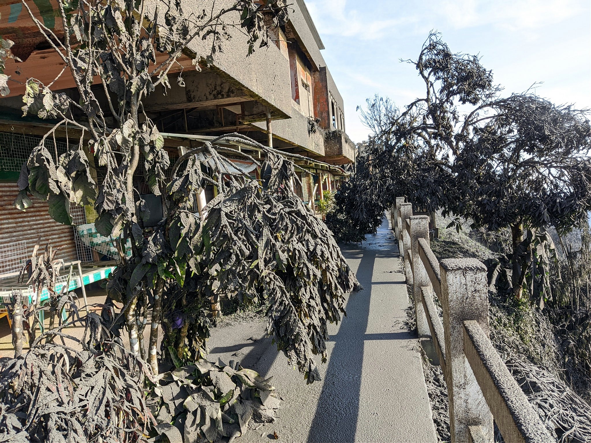 More photos of grey Tagaytay City surface after Taal spewed ash - The ...