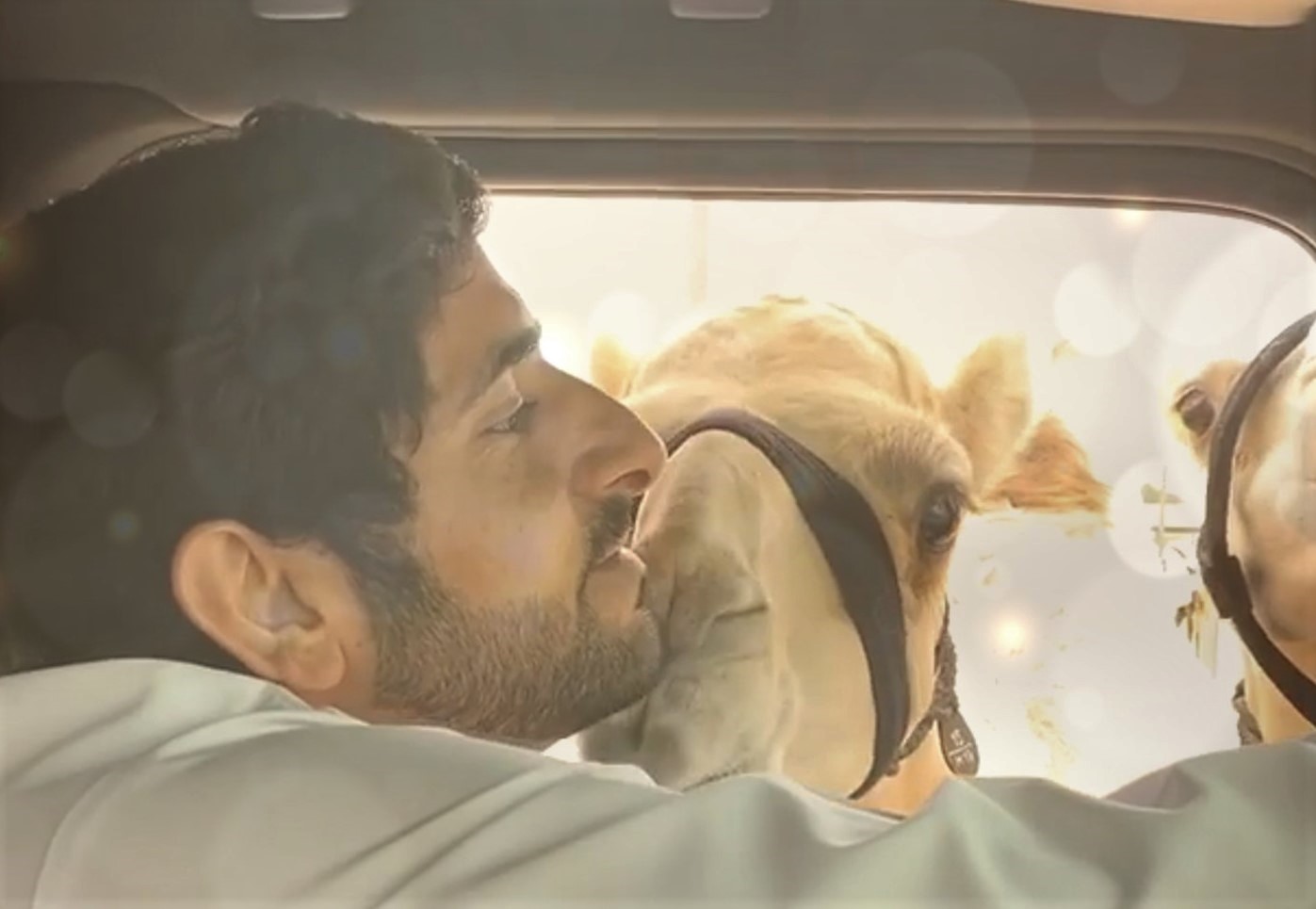WATCH: Sheikh Hamdan proves ‘animal whisperers’ are real - The Filipino ...