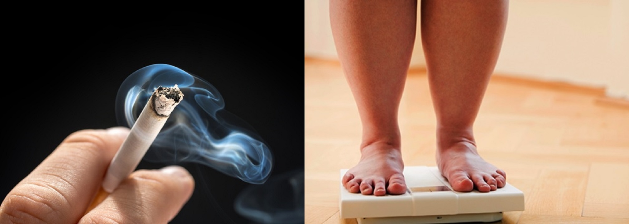 Smoking, obesity highlighted as major risk factors of COVID-19 in UAE ...