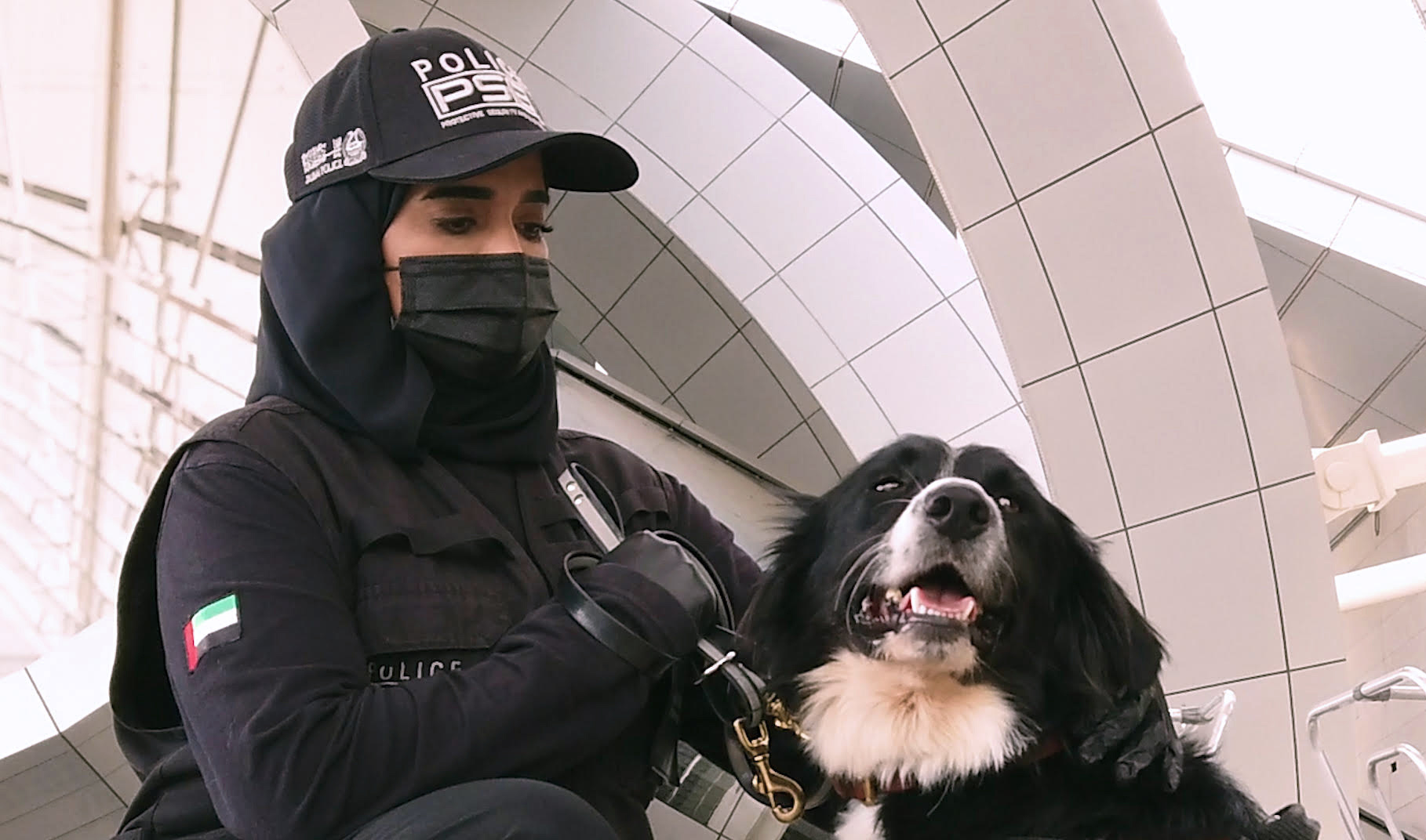 VIDEO: UAE to use K9 police dogs to sniff out COVID-19 cases - The Filipino Times
