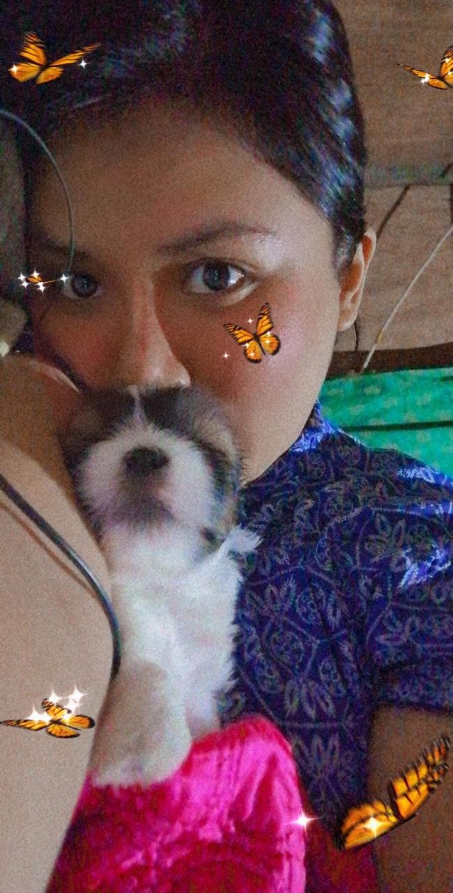 Stress relievers amid COVID-19: Filipinos share how their fur babies ...