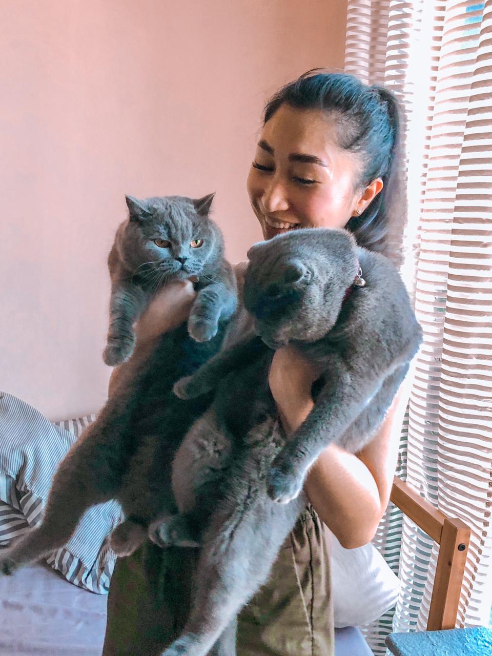 Stress relievers amid COVID-19: Filipinos share how their fur babies ...