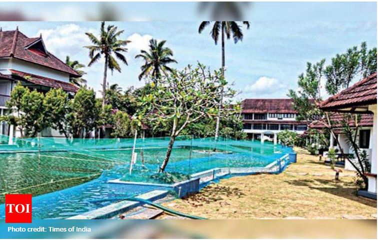 Resort turns swimming pool into fish pond due to COVID-19 pandemic ...