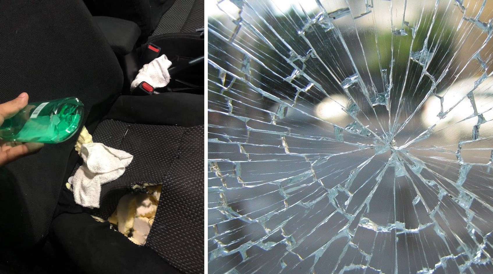 FDA warns not to leave alcohol inside cars following incident of ...