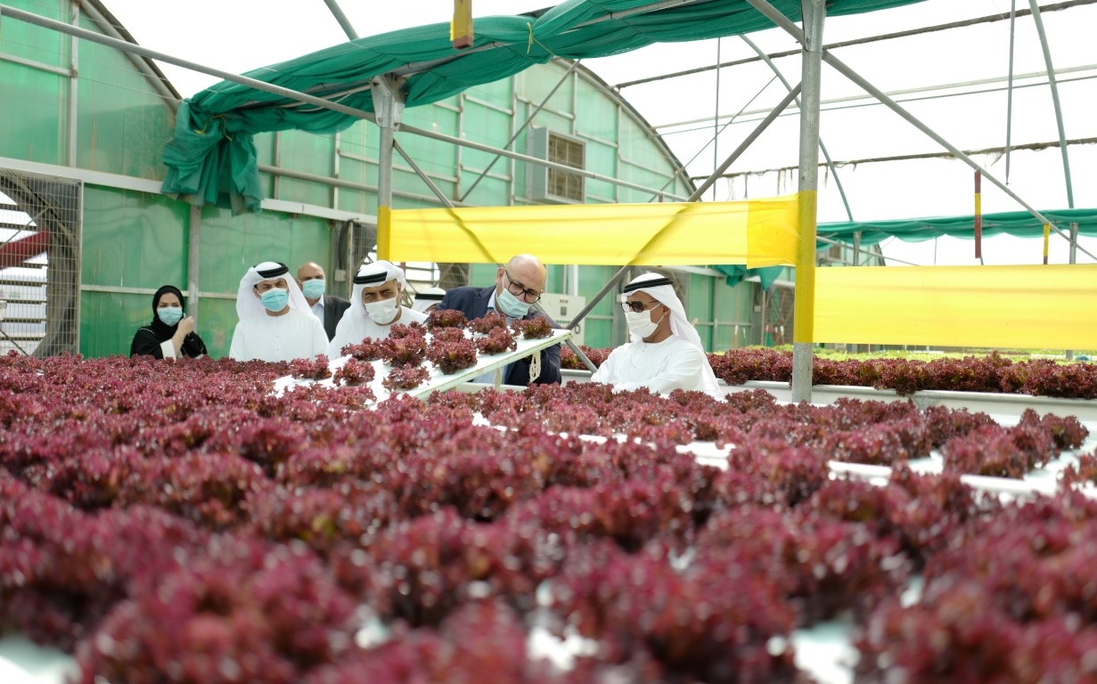 Local food producers in UAE key to country's food security, safety ...