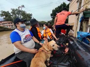 LOOK: Philippine Coast Guard rescues elderly residents, pets in ...
