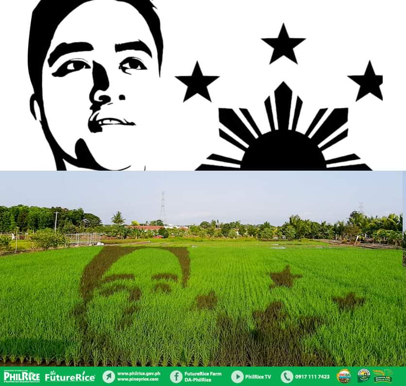 LOOK: Pasig City Mayor Vico Sotto featured in a rice paddy art - The ...