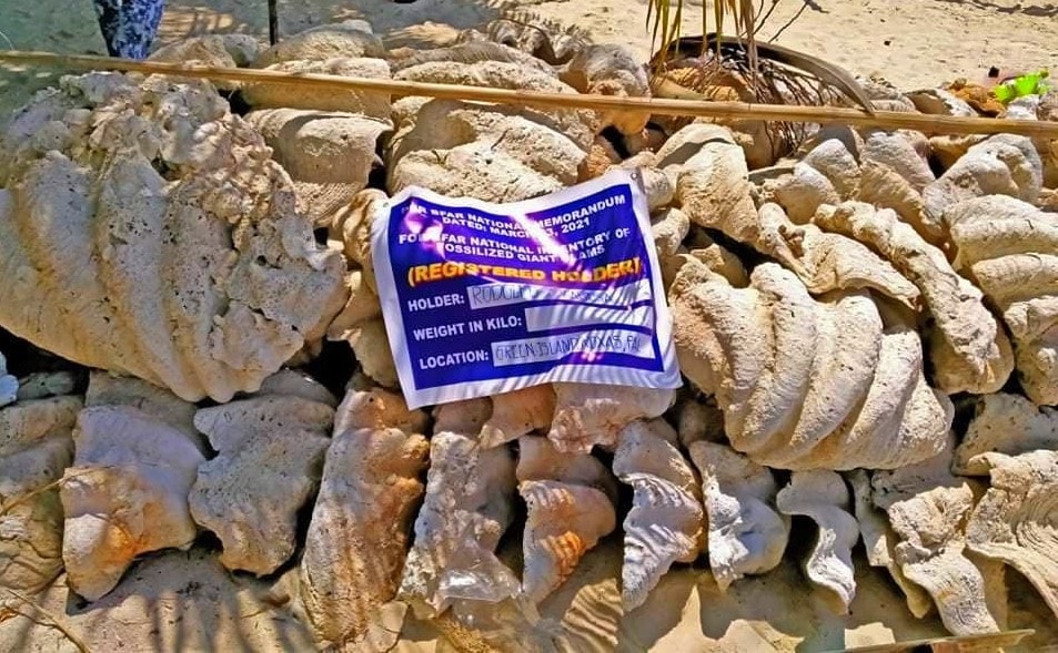 LOOK: 200 tons of fossilized giant clams worth Php 1.2B seized in PH ...