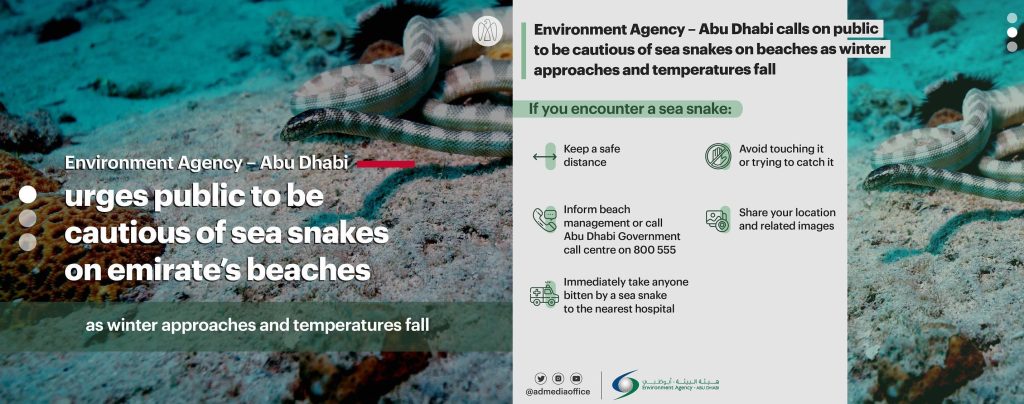 Abu Dhabi agency urges public to stay cautious about sea snakes - The ...
