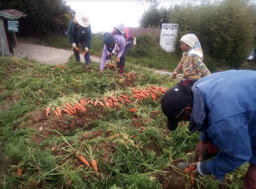 Start-up for Filipino farms 'Cropital' amongst featured programs at ...