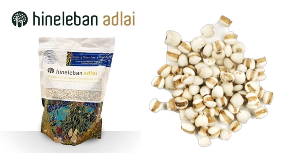 PH Ambassador highlights chefs as ambassadors of goodwill at WorldChefs ...