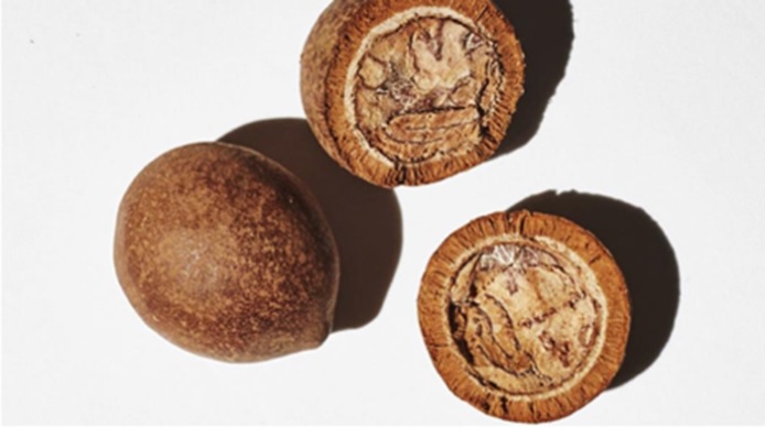 PH Ambassador highlights chefs as ambassadors of goodwill at WorldChefs ...