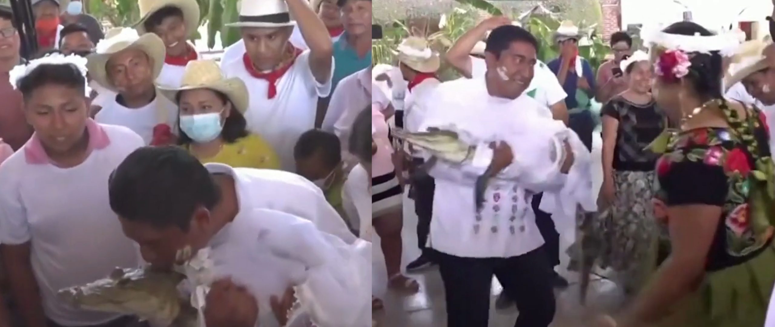 Netizens baffled as mayor from Mexico marries alligator - The Filipino ...