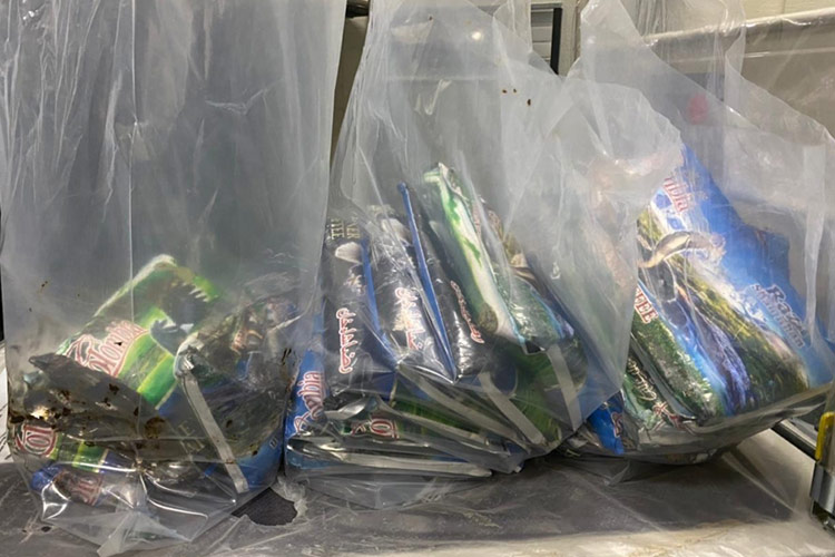 RAK Customs seizes 29kg illegal drugs hidden in vehicle's spare tire ...