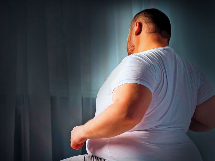 Abu Dhabi launches healthy eating drive to control obesity - The ...