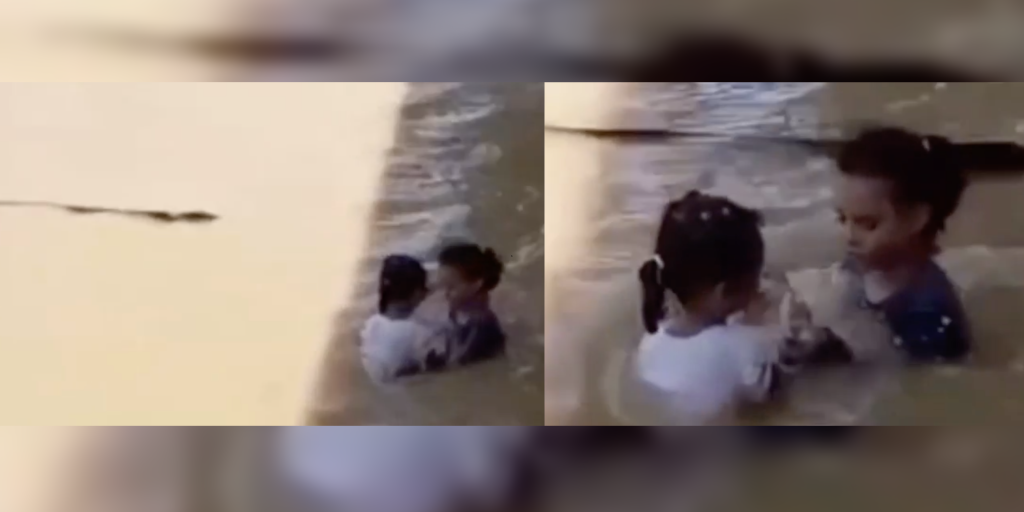 Video of snake passing by two girls in Saudi Arabia goes viral - The ...