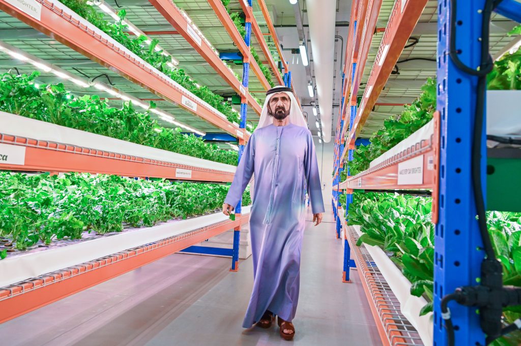 WATCH: Sheikh Mohammed bin Rashid visits world’s largest vertical ...