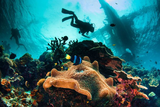 World Travel Awards: PH named Asia’s leading beach and dive destination ...