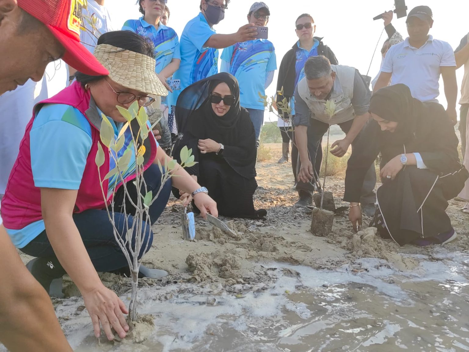 Filipinos in UAE contribute to Sheikh Zayed's legacy with Mangrove Tree ...