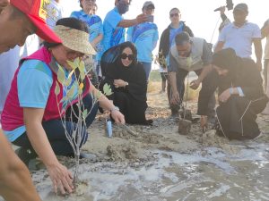 WATCH: Mangroves: Filipinos' 'Gift of Life' to the UAE - The Filipino Times