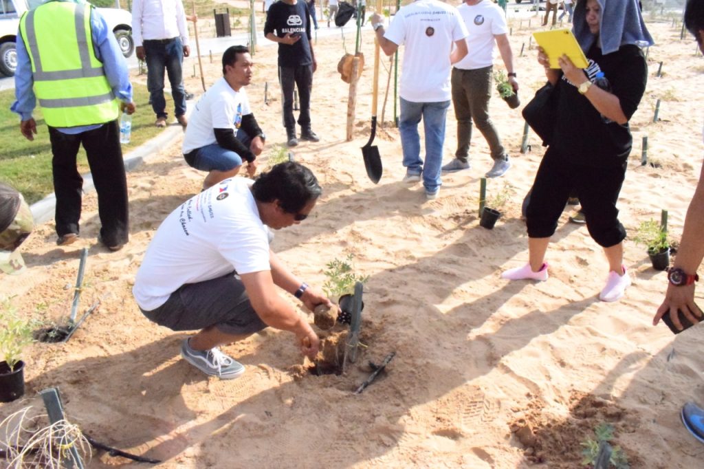 Pinoy community groups conduct tree planting, community service in UAE ...