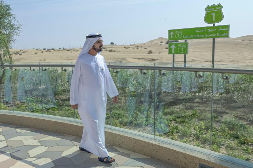 Dubai's 100km countryside to be transformed into scenic tourist ...