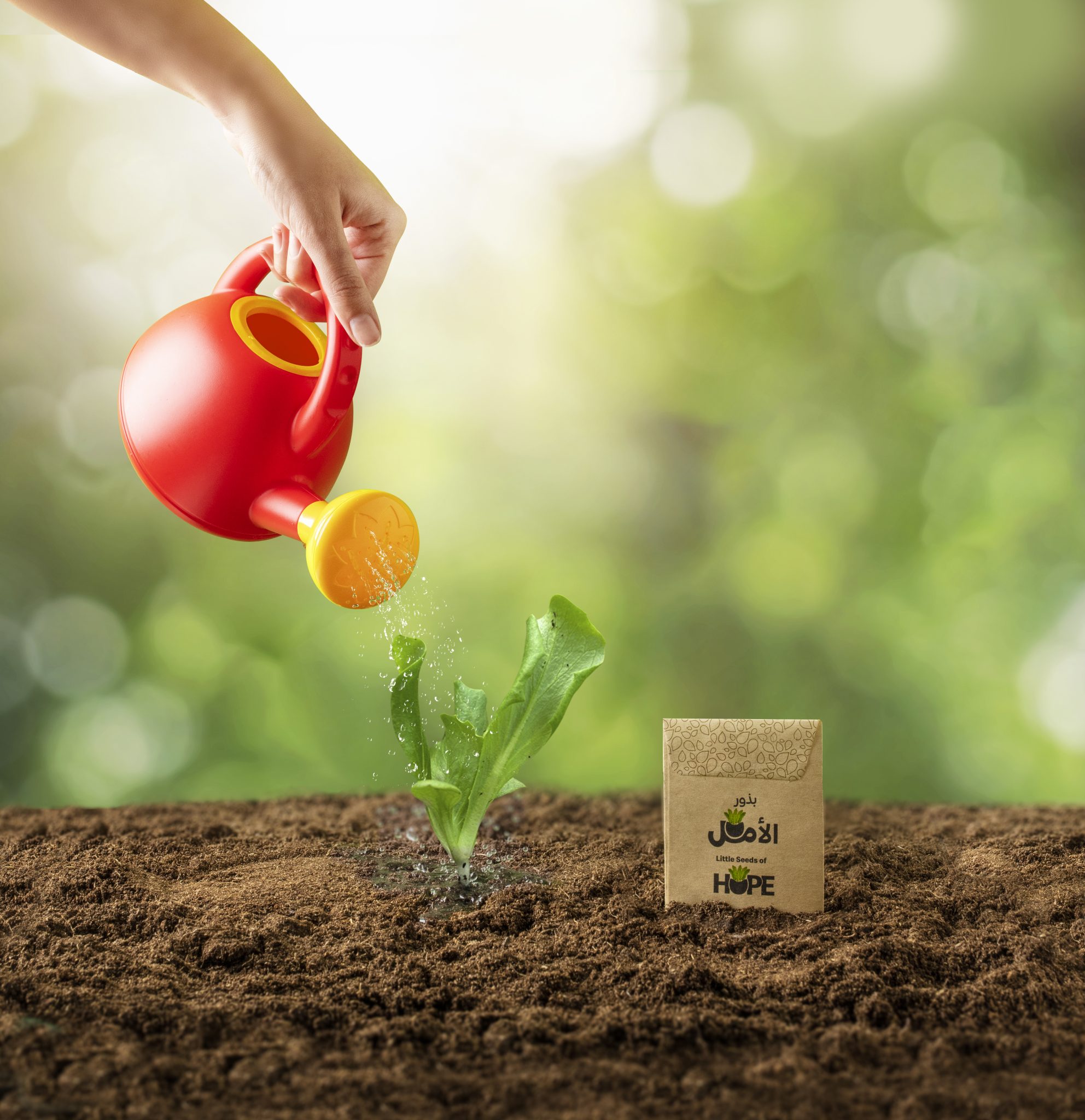 Looking for a family-friendly bonding activity with your kids ...