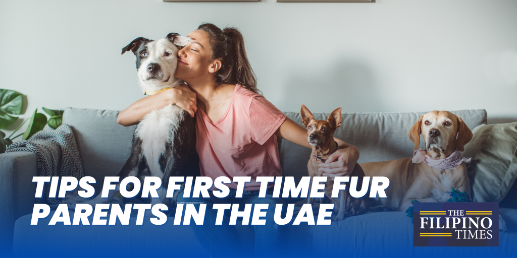 Tips for First Time Fur Parents in the UAE - The Filipino Times