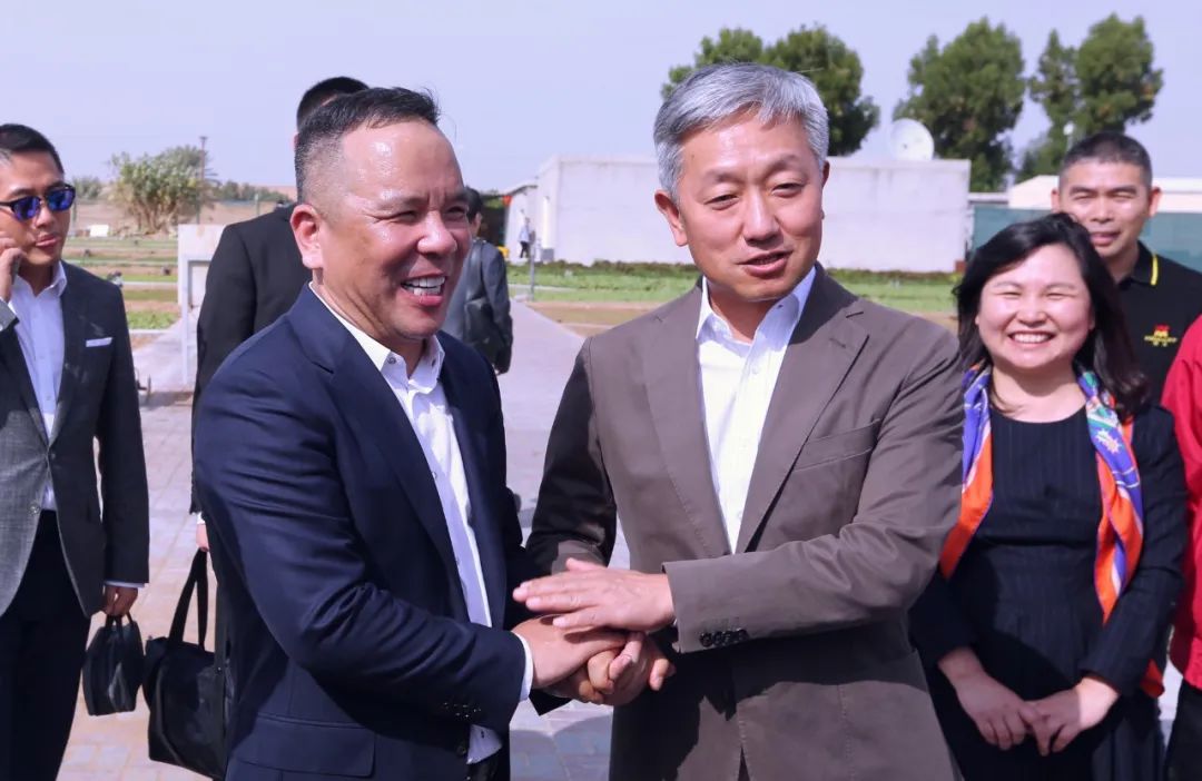 LOOK: Chinese Ambassador to UAE visits Wenchao Farms, praises company ...