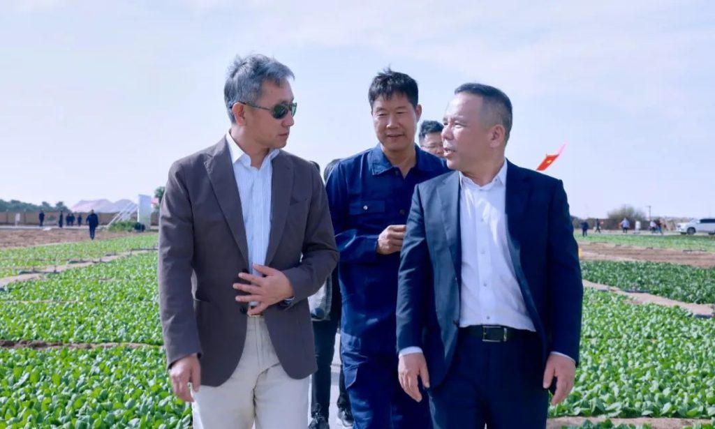 LOOK: Chinese Ambassador to UAE visits Wenchao Farms, praises company ...