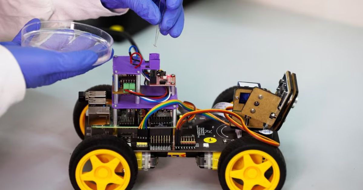 A robot with an insect's antenna can detect cancer cells, bombs at the ...