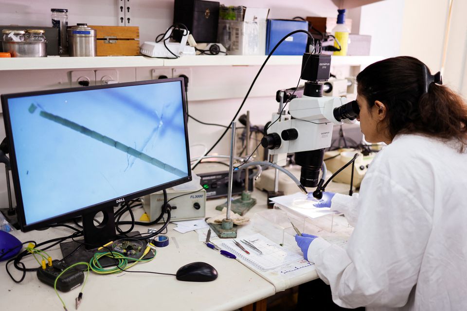 A robot with an insect's antenna can detect cancer cells, bombs at the ...