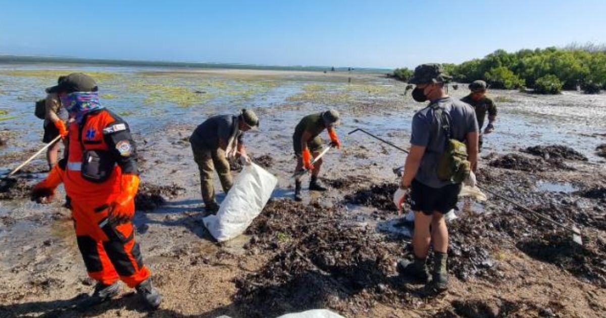 Marcos expects oil spill clean up in Mindoro to finish in 4 months ...