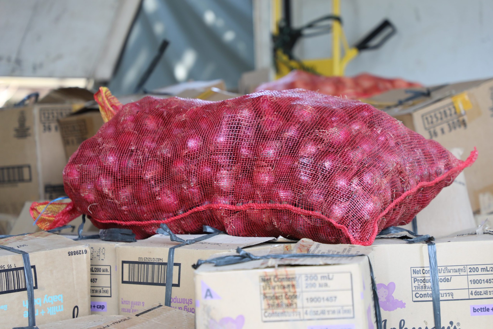 DA records onion prices more than double in a year - The Filipino Times