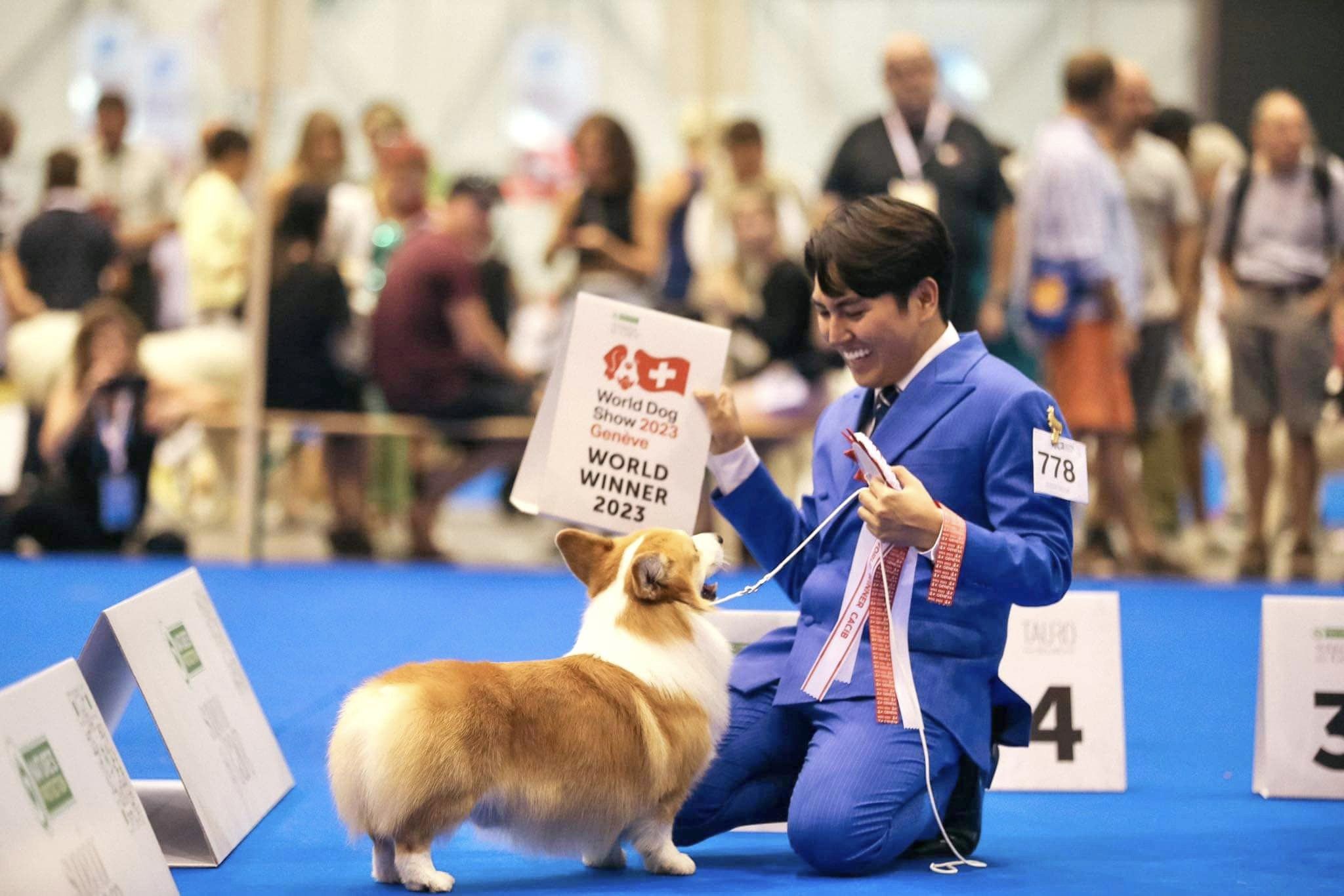PH corgi ‘Dalbong’ clinches World Title at 2023 Dog Show - The Filipino ...