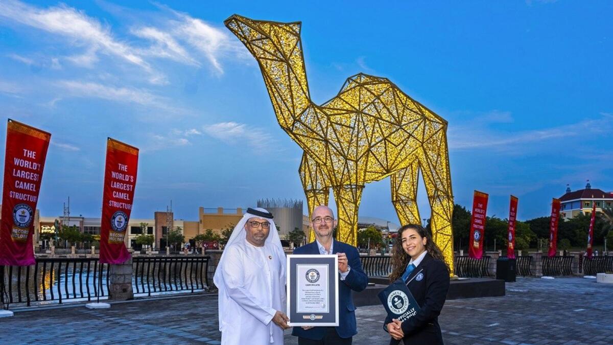 Dubai gets world record for largest LED illuminated camel - The ...