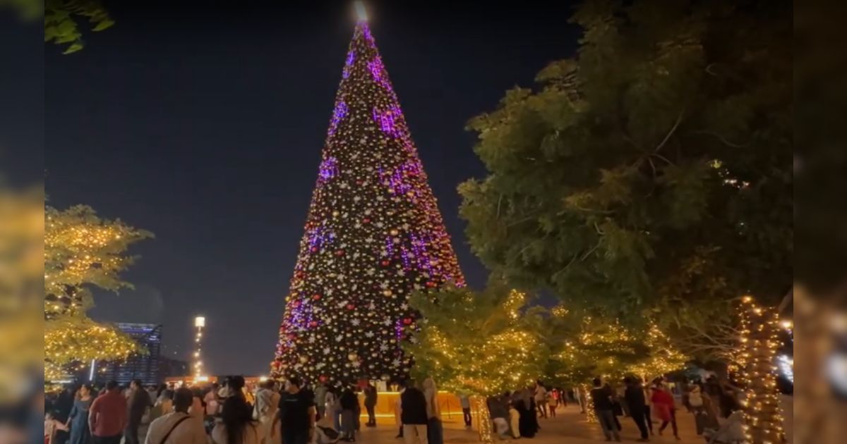 Dubai lights up its tallest Christmas tree in the Middle East - The ...