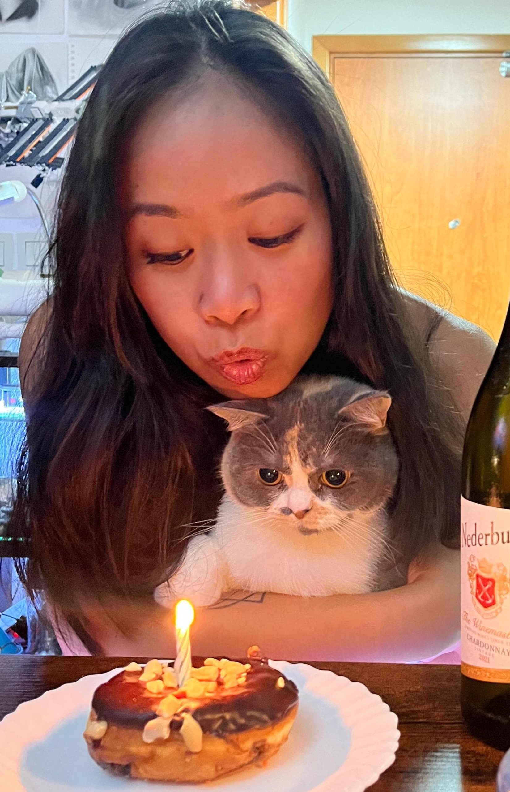 Pawparent 101: OFWs' guide for owning a pet in the UAE - The Filipino Times