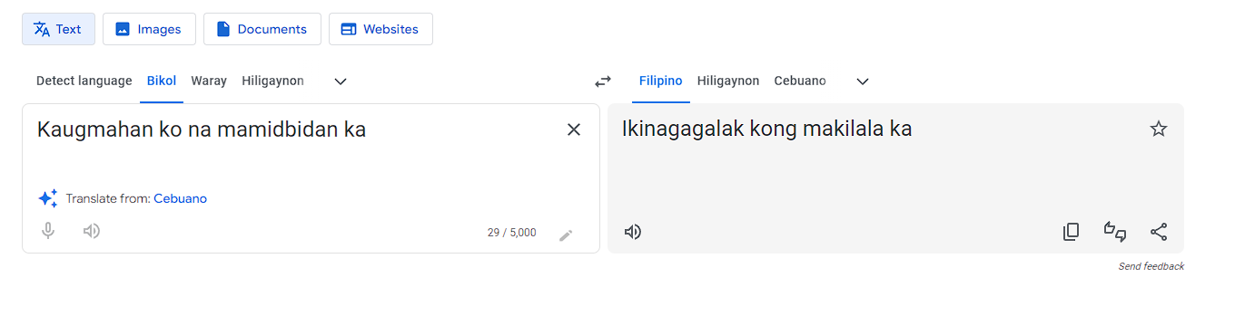Google Translate adds translations for Waray, Bikol, Hiligaynon and ...